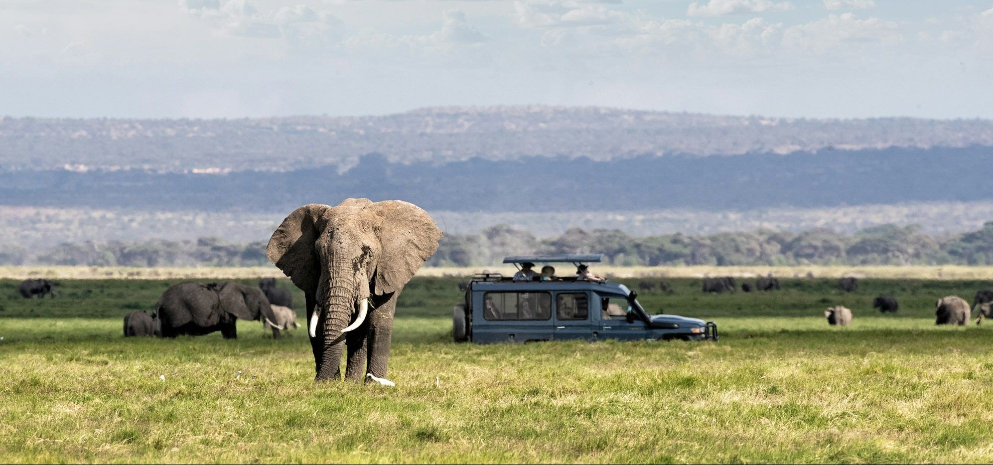 Safaris en África - Viajes Huellas Nómadas
